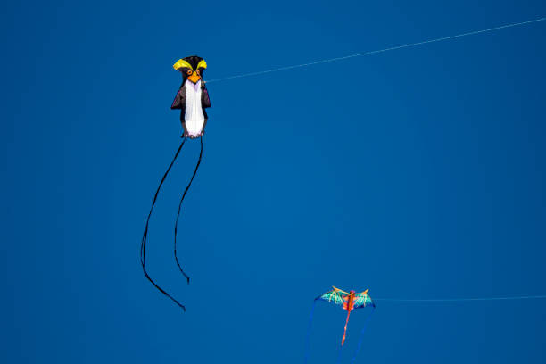 penguin kite | Free Stock Image - Barnimages