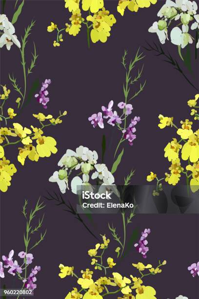 Pola Mulus Bunga Dengan Bunga Dan Daun Yang Berbeda Ilustrasi Botani