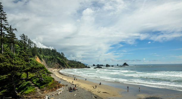 Indian Beach Pictures | Download Free Images on Unsplash