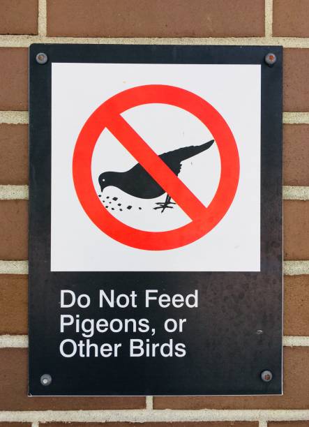50+ Dont Feed The Birds Sign Stock Photos, Pictures & Royalty-Free ... 50+ Dont Feed The Birds Sign Stock Photos, Pictures & Royalty-Free ...