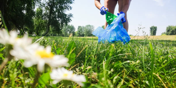 Picking Up Trash Pictures | Download Free Images on Unsplash