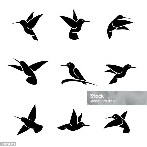 Colibri 설정합니다 벡터 벌새에 대한 스톡 벡터 아트 및 기타 이미지 벌새 아이콘 벡터 Istock