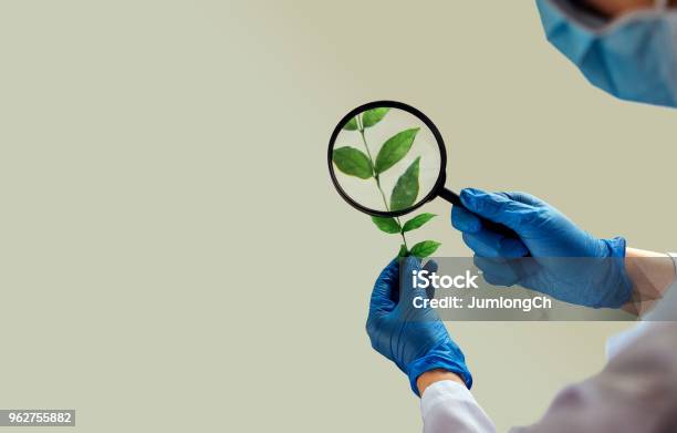 Para Ilmuwan Atau Dokter Melakukan Eksperimen Ilmiah Seiring Dengan ... Para Ilmuwan Atau Dokter Melakukan Eksperimen Ilmiah Seiring Dengan ...