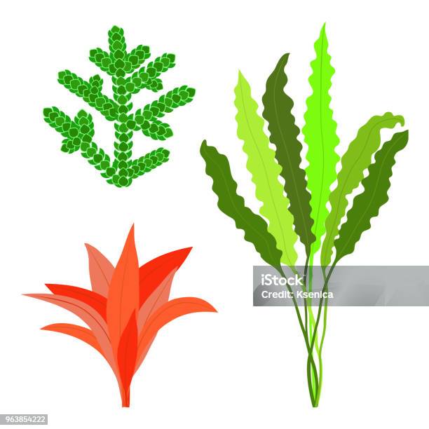 Ensemble Dalgues Isolé Sur Fond Blanc Illustration Vectorielle Vecteurs