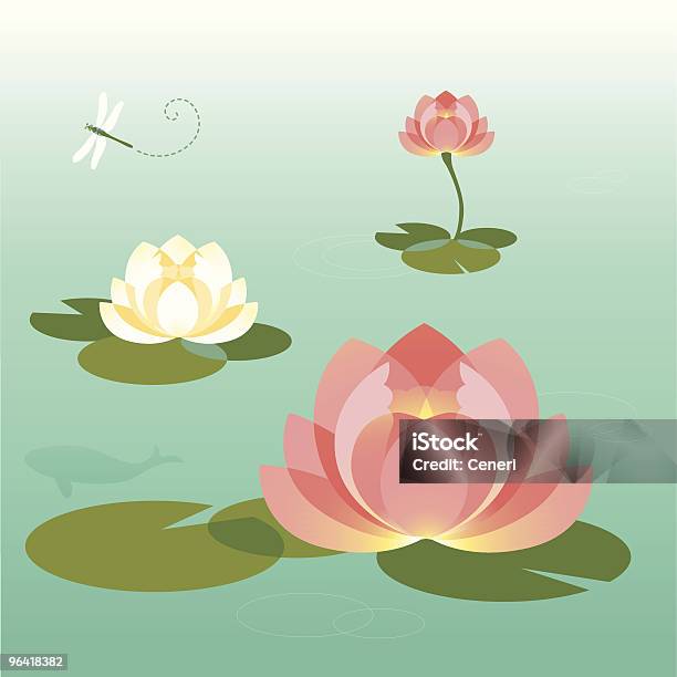 핑크 화이트 바하이 연못 여름 연꽃과에 대한 스톡 벡터 아트 및 기타 이미지 연꽃과 수련속 백합 Istock