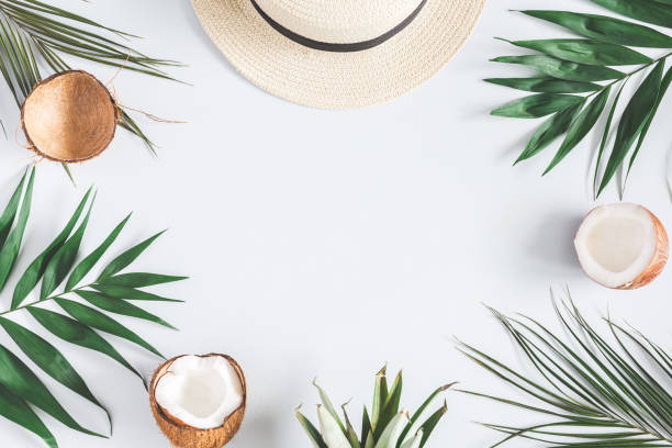 Coconut Background Pictures | Download Free Images on Unsplash