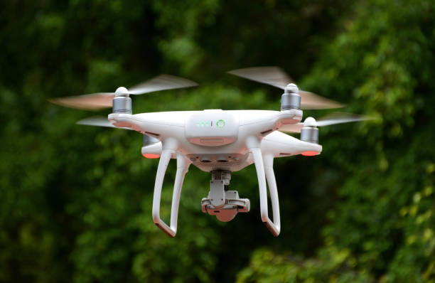 Free non flying bird stock photos. Download the best free non flying ...