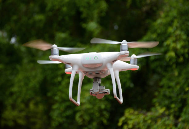 Free non flying bird stock photos. Download the best free non flying ...