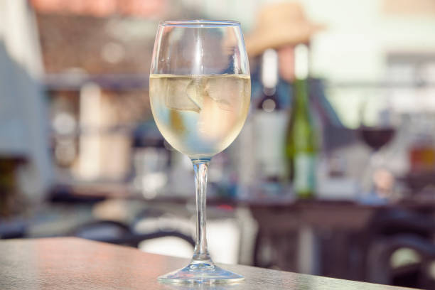 Whine Pictures | Download Free Images on Unsplash