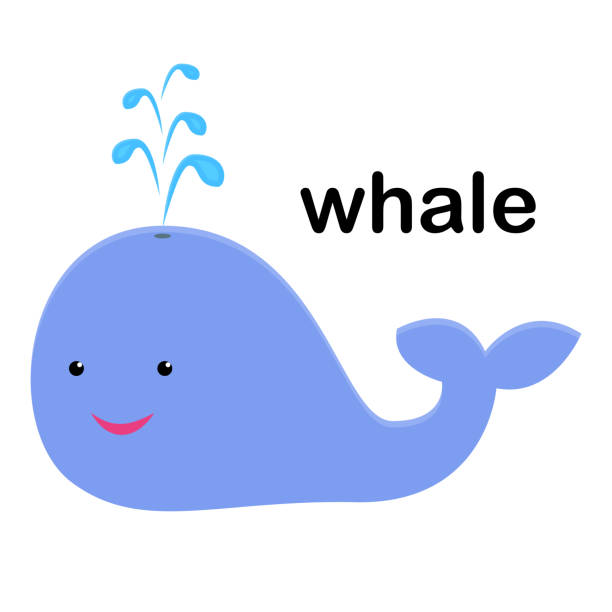30 Dolphin Blowhole Stock Illustrations Royalty Free Vector Graphics