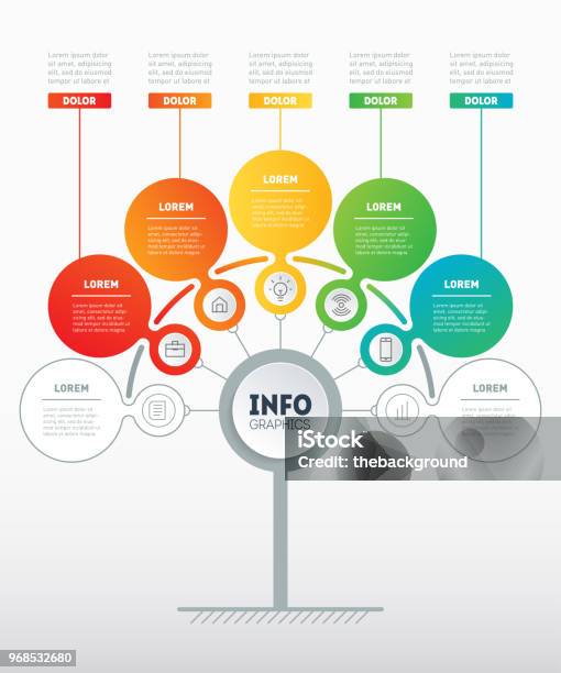 5 또는 7 단계로 기술 또는 교육 과정의 Infographic 벡터 웹 템플릿 서비스 트리 정보 차트 또는 다이어그램의