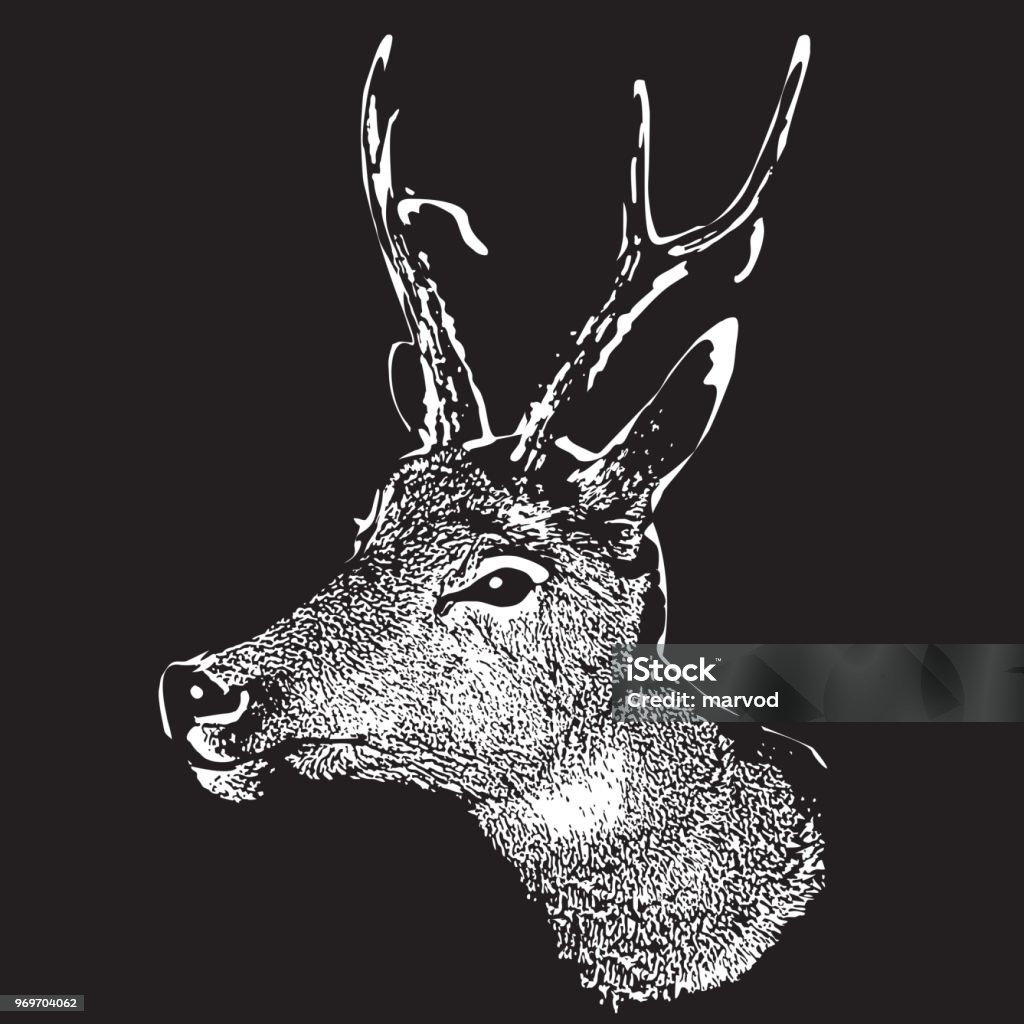 Deer Head Graphic Engraving Illustration Isolated On Black Background ... Deer Head Graphic Engraving Illustration Isolated On Black Background ...