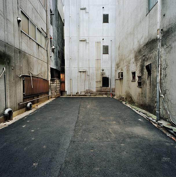 Japan Alley Pictures | Download Free Images on Unsplash