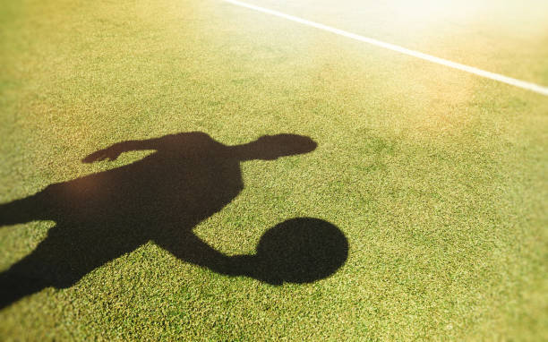 Free picture: football, grass, shadow, soccer ball, ball, sport ...