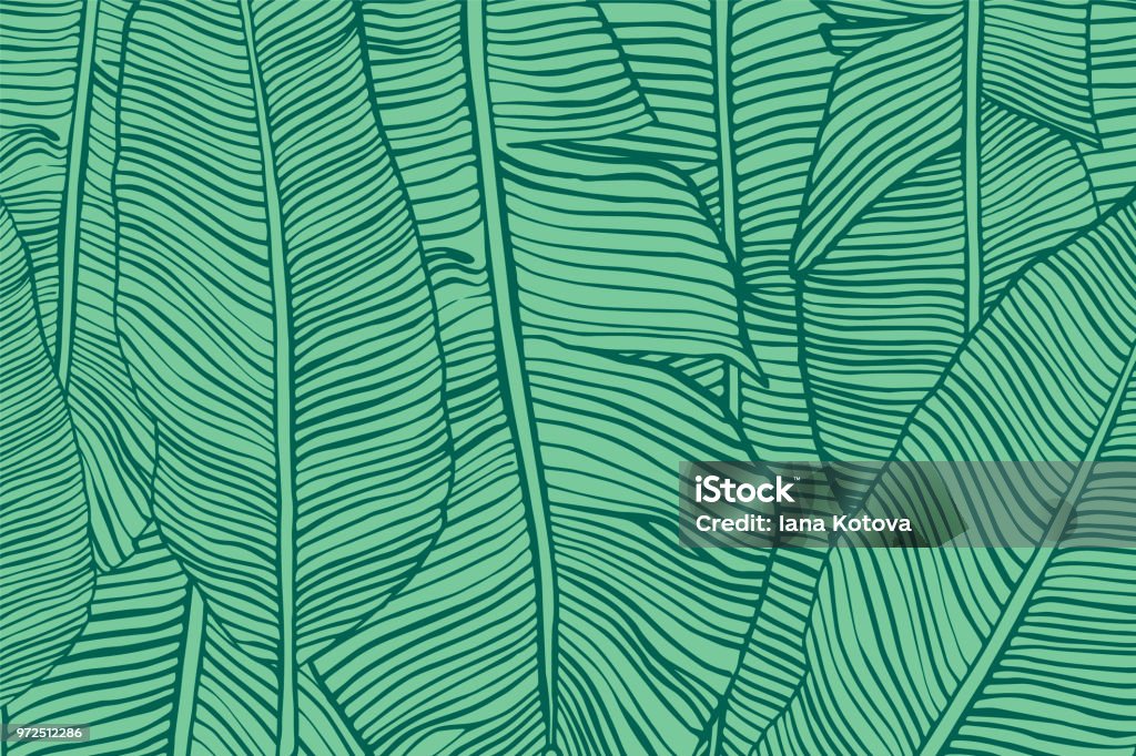 Tekstur Vektor Dengan Daun Pisang Tangan Ditarik Dedaunan Tropis Latar