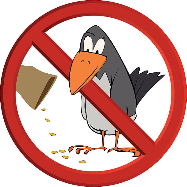20+ Dont Feed The Birds Sign Stock Illustrations, Royalty-Free Vector ... 20+ Dont Feed The Birds Sign Stock Illustrations, Royalty-Free Vector ...