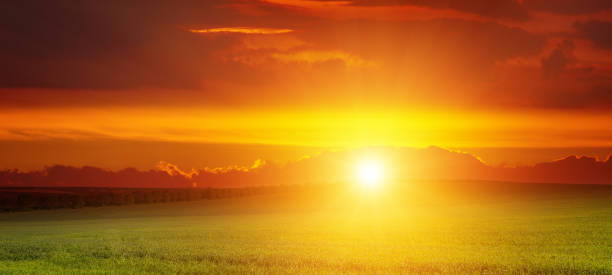 Free Stock Photo of A sun shining through clouds over a field of grass ...