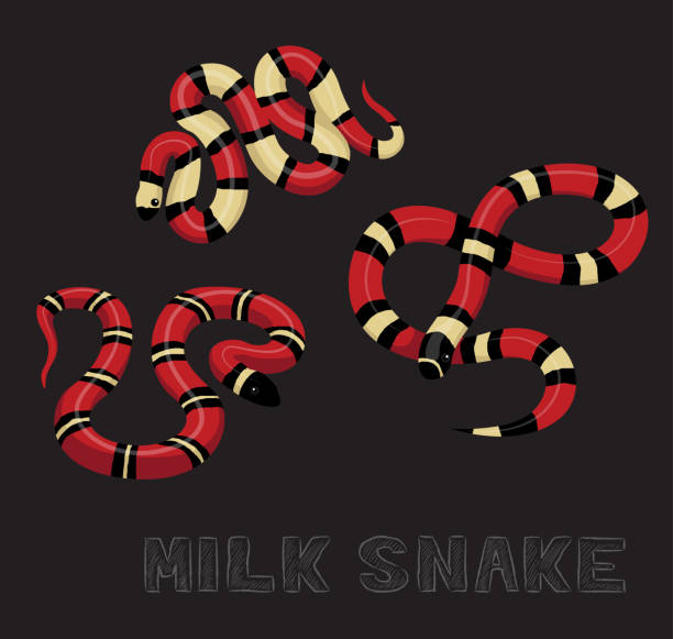 Morsure De Serpent Vectoriels Et Illustrations Libres De Droits Istock