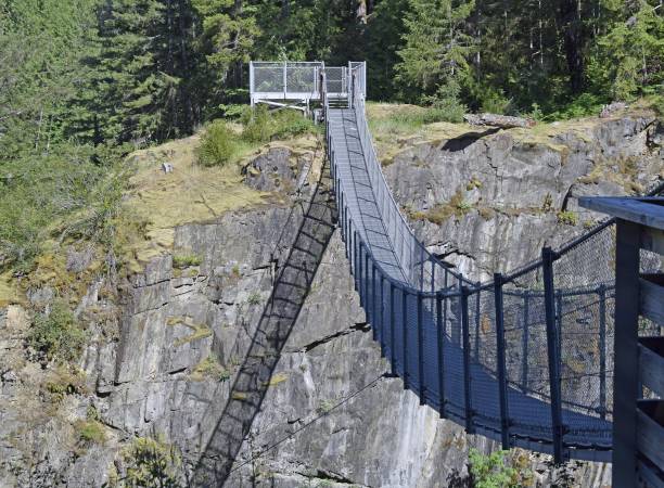 Elk Falls Suspension Bridge Pictures | Download Free Images on Unsplash