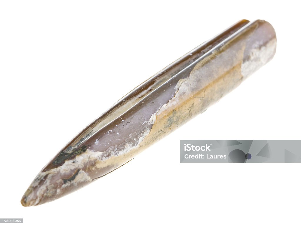 Belemnite 화석을 보유해 세계 유산지로 등재되어 0명에 대한 스톡 사진 및 기타 이미지 0명 개체 그룹 고고학