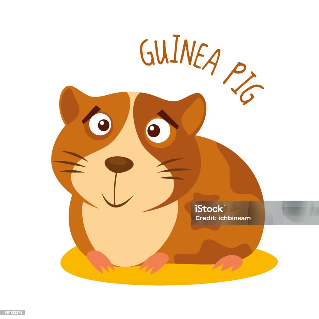 Meerschweinchenvektorillustration Isoliert Stock Vektor Art und mehr ... Meerschweinchenvektorillustration Isoliert Stock Vektor Art und mehr ...