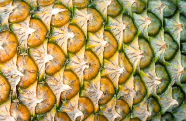 Free Stock Photo of Close-up texture of a ripe pineapple | Download ...