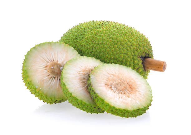 Artocapus Altilis Bread Fruit - Free photo on Pixabay