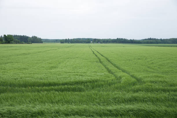Blurred Motion View of a Rural Field in Kurzeme, Latvia | Free Stock ...