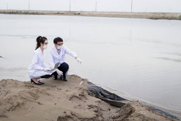 Free picture: biologists, scientists, rescued, manatee, animal