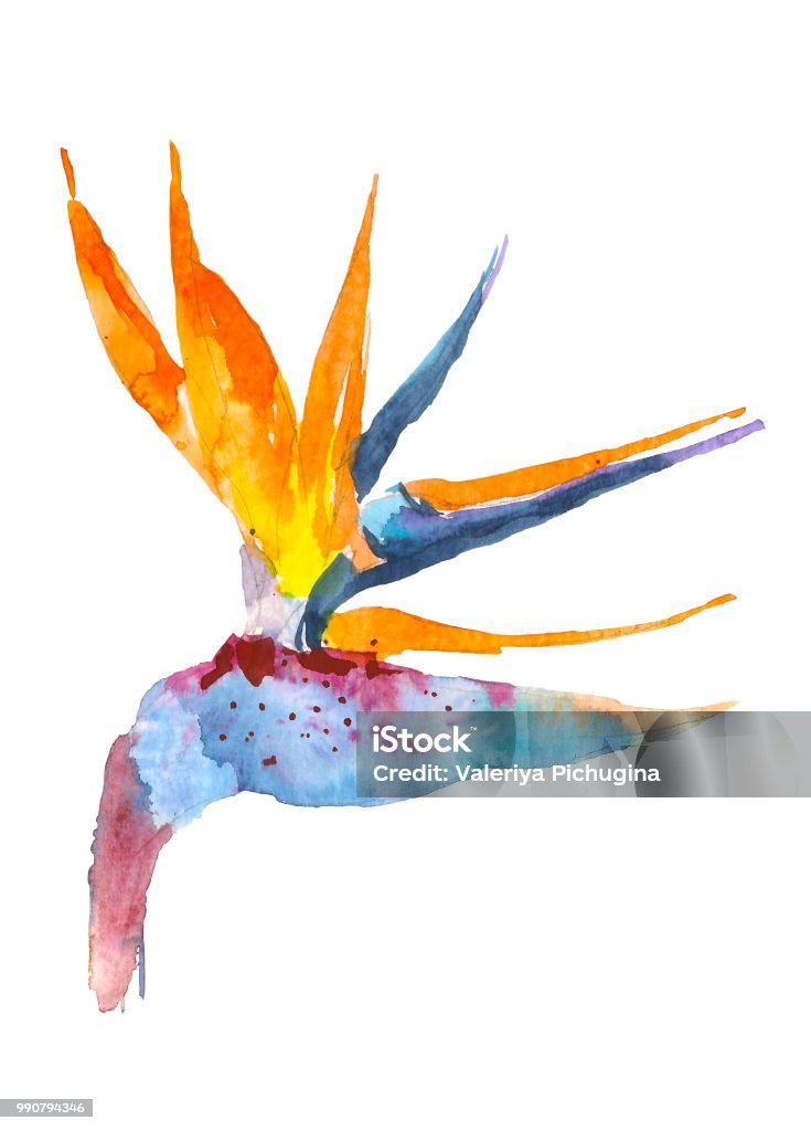Strelitzia 열 대 식물입니다 수채화 손으로 그린 꽃과 단풍 초대 결혼식 또는 인사장에 대 한 디자인입니다 꽃 개념입니다
