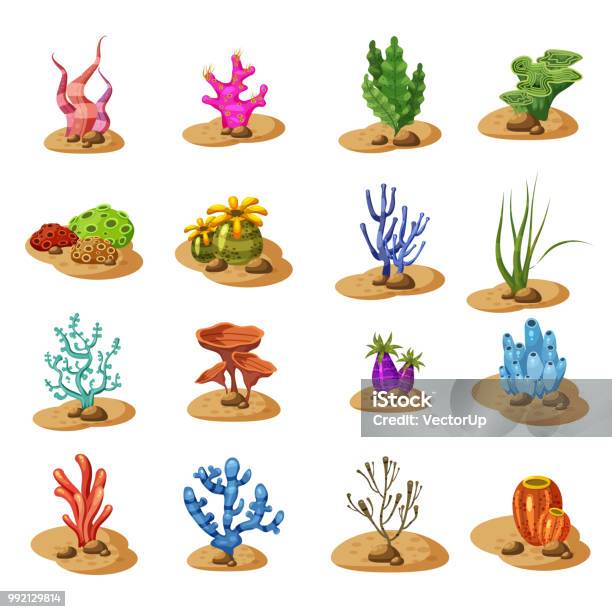 Rumput Laut Ganggang Hijau Laut Tanaman Bawah Air Terisolasi Pada Latar ... Rumput Laut Ganggang Hijau Laut Tanaman Bawah Air Terisolasi Pada Latar ...