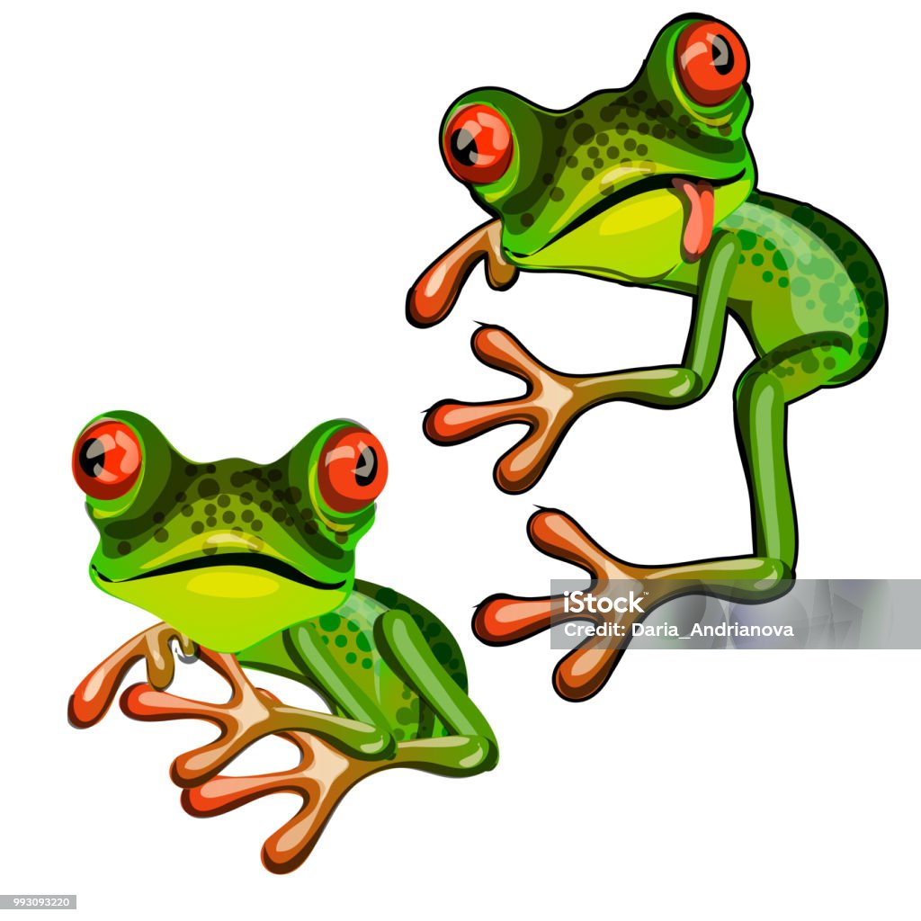 Groene Boom Kikker Een Denkbeeldige Object Knuffelen En Plagen Tong Geïsoleerd Op Een Witte