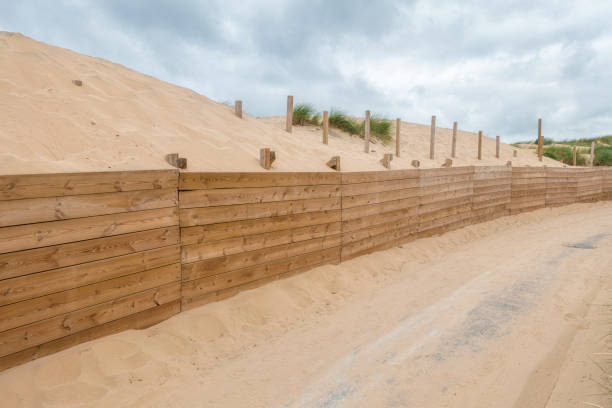 Free picture: wooden, fence, beach, dune, stabilization