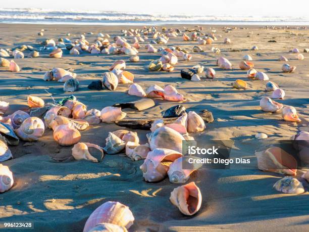 Todo Lo Que Aporta El Mar Foto de stock y más banco de imágenes de Agua ... Todo Lo Que Aporta El Mar Foto de stock y más banco de imágenes de Agua ...