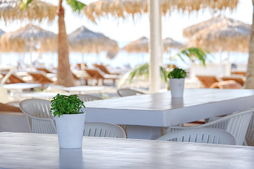 Sunbeds 우산 열 대 해변에서 리조트 0명에 대한 스톡 사진 및 기타 이미지 0명 고요한 장면 그리스 Istock