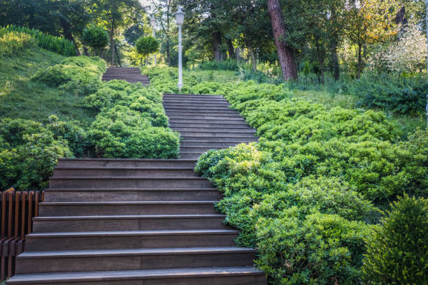 Staircase in park | Free Stock Image - Barnimages