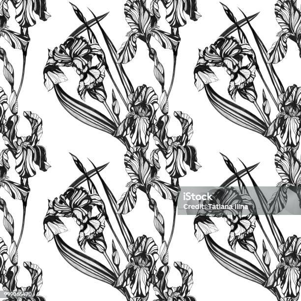 Dessin Sans Soudure De Fleurs Des Iris Illustration Dencre Dessinés À