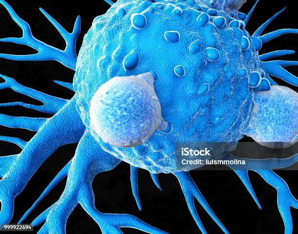 Cancer Cell Attacked By Lymphocytes Stock Photo - Download Image Now ... Cancer Cell Attacked By Lymphocytes Stock Photo - Download Image Now ...