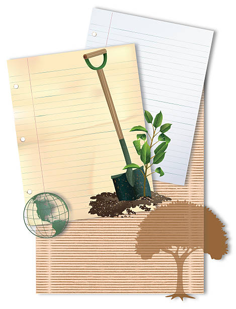Fibrous Root Illustrations, Royalty-Free Vector Graphics & Clip Art ... Fibrous Root Illustrations, Royalty-Free Vector Graphics & Clip Art ...