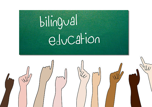 Best Bilingual Illustrations, Royalty-Free Vector Graphics & Clip Art ... Best Bilingual Illustrations, Royalty-Free Vector Graphics & Clip Art ...