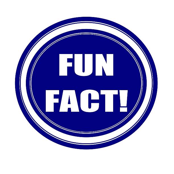 Fun Fact Illustrations, Royalty-Free Vector Graphics & Clip Art - iStock Fun Fact Illustrations, Royalty-Free Vector Graphics & Clip Art - iStock
