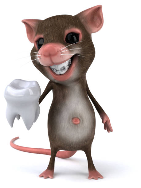Tooth Mouse Illustrations, Royalty-Free Vector Graphics & Clip Art - iStock Tooth Mouse Illustrations, Royalty-Free Vector Graphics & Clip Art - iStock