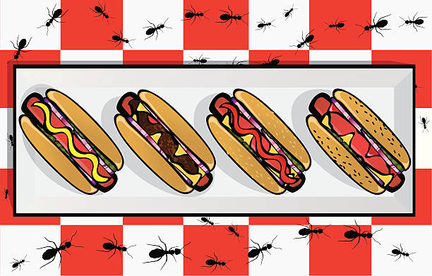 Best Picnic Ants Illustrations, Royalty-Free Vector Graphics & Clip Art ... Best Picnic Ants Illustrations, Royalty-Free Vector Graphics & Clip Art ...