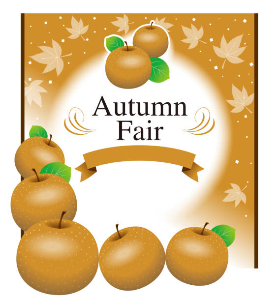 Nashi Pear Pictures Illustrations, Royalty-Free Vector Graphics & Clip ... Nashi Pear Pictures Illustrations, Royalty-Free Vector Graphics & Clip ...
