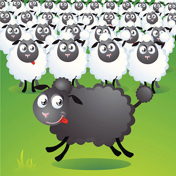Best Flock Of Sheep Illustrations, Royalty-Free Vector Graphics & Clip ... Best Flock Of Sheep Illustrations, Royalty-Free Vector Graphics & Clip ...