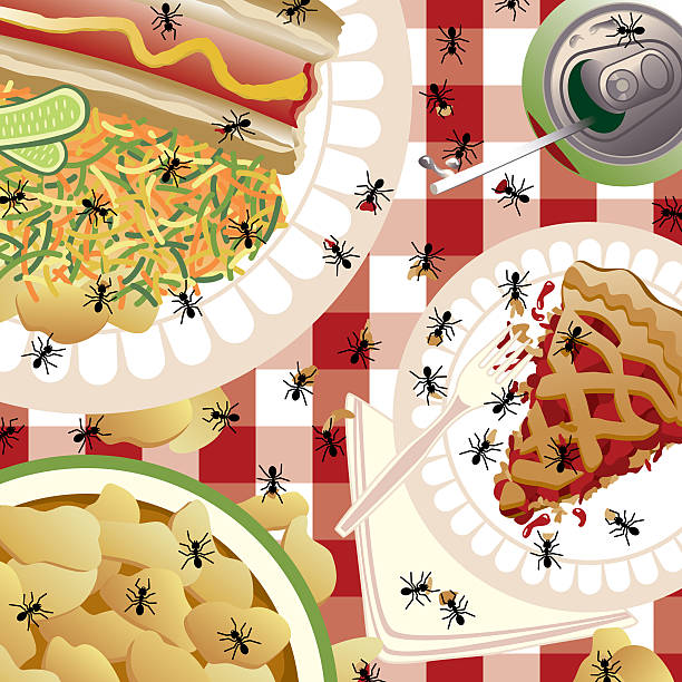 Best Picnic Ants Illustrations, Royalty-Free Vector Graphics & Clip Art ... Best Picnic Ants Illustrations, Royalty-Free Vector Graphics & Clip Art ...