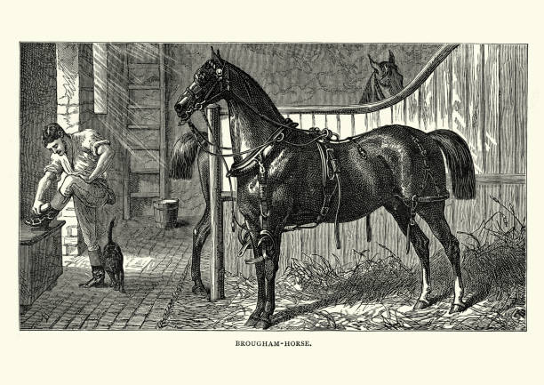 Best Horse Stable Illustrations, Royalty-Free Vector Graphics & Clip ... Best Horse Stable Illustrations, Royalty-Free Vector Graphics & Clip ...