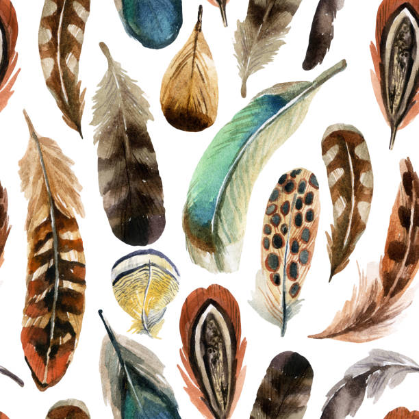 Eagle Feather Illustrations, Royalty-Free Vector Graphics & Clip Art ... Eagle Feather Illustrations, Royalty-Free Vector Graphics & Clip Art ...