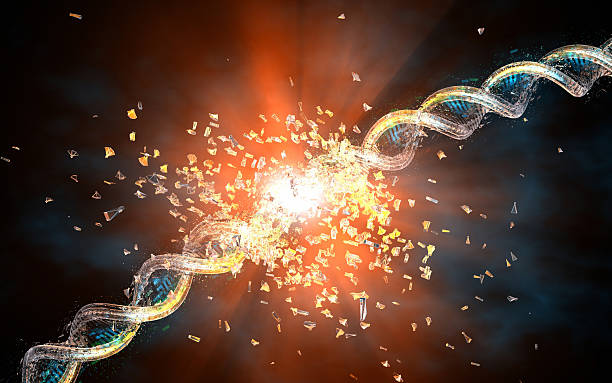 Dna Broken Stock Photos, Pictures & Royalty-Free Images - iStock Dna Broken Stock Photos, Pictures & Royalty-Free Images - iStock