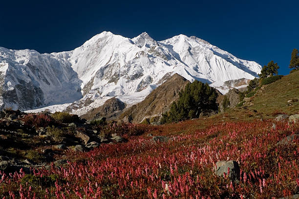 Rakaposhi Mountain Stock Photos, Pictures & Royalty-Free Images - iStock Rakaposhi Mountain Stock Photos, Pictures & Royalty-Free Images - iStock